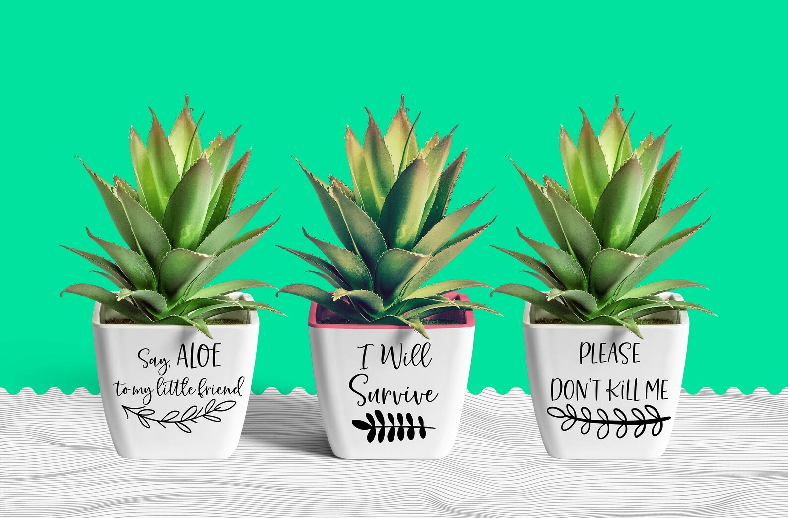 Planter Phrases Svg Plant Sayings SVG Plant Svg Funny | Etsy