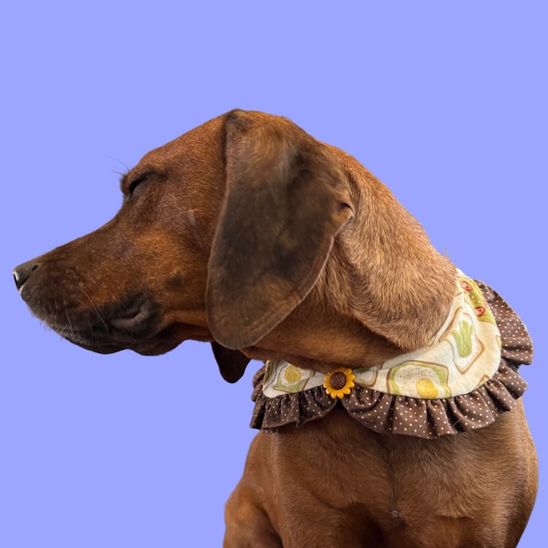 Ruff - Ruffled Pet Collar Digital Pattern - Etsy