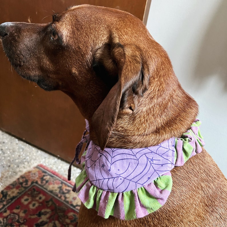 Ruff - Ruffled Pet Collar Digital Pattern - Etsy