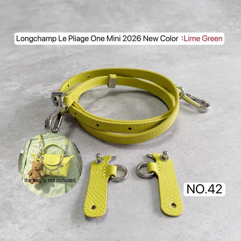 Conversion Kit Longchamp - Etsy