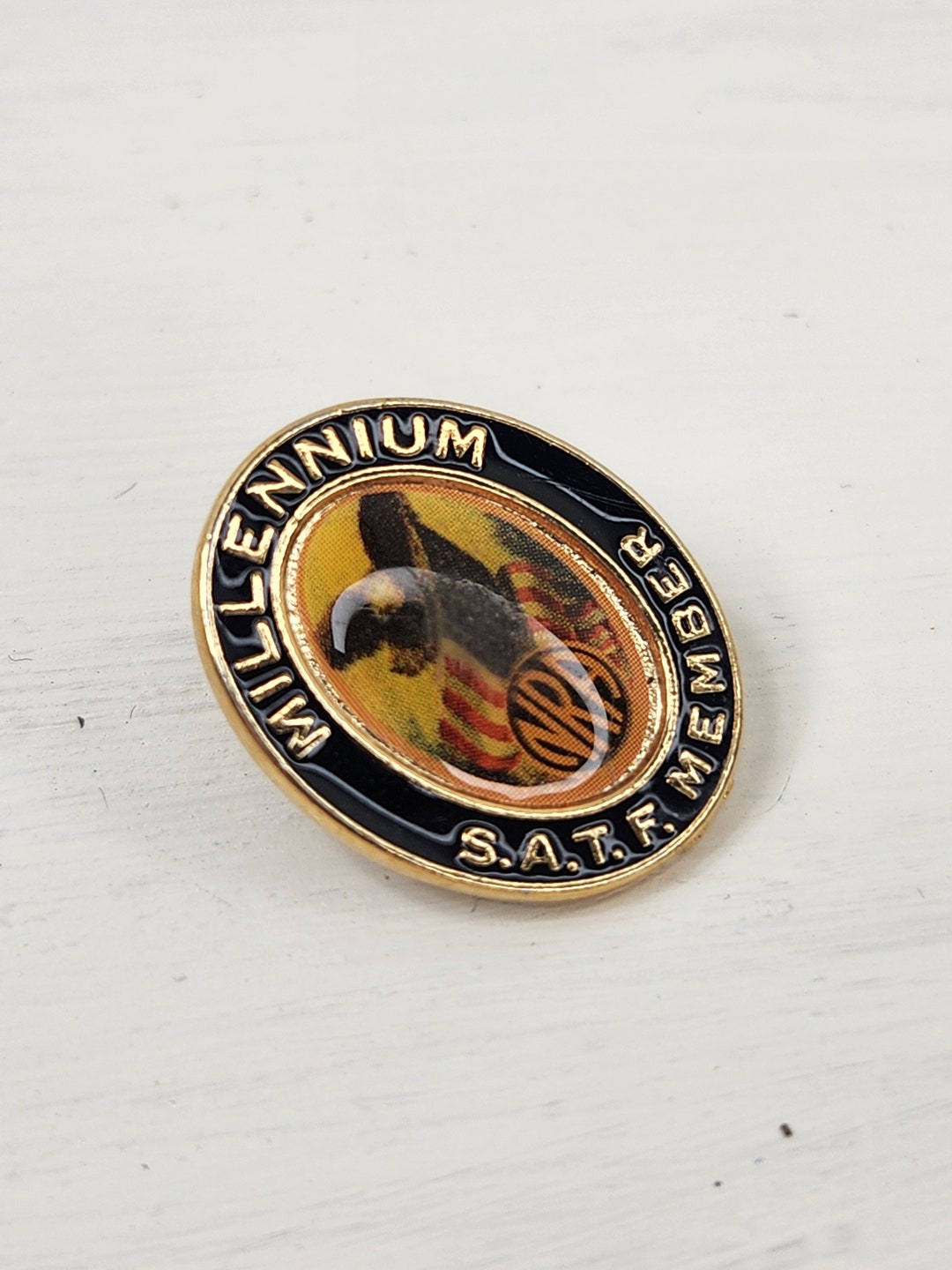 NRA Millennium SATF Member Hat Lapel Gun Pin National Rifle Association ...