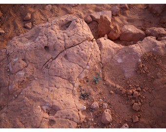 2 POUNDS RED GEORGIA Dirt Soil Clay Raw - Etsy