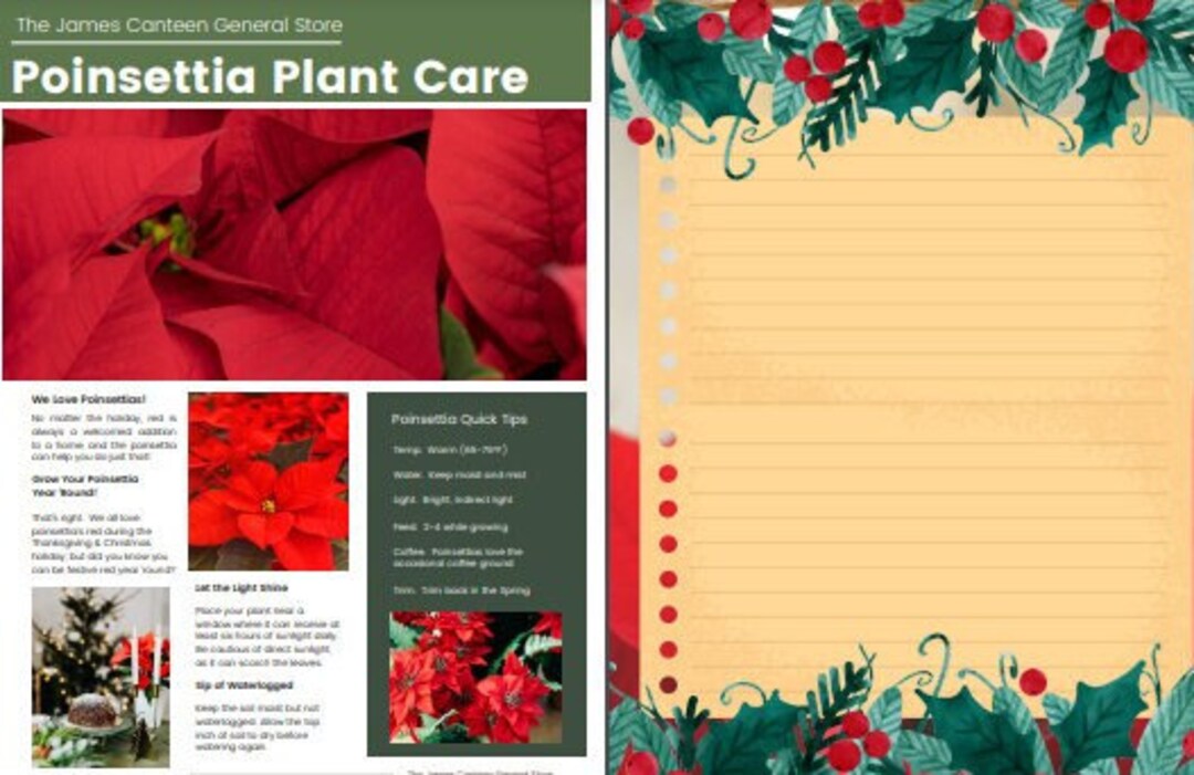 Poinsettia Holiday Plant Care & Note Guide Poinsettia Plant Care Tips ...
