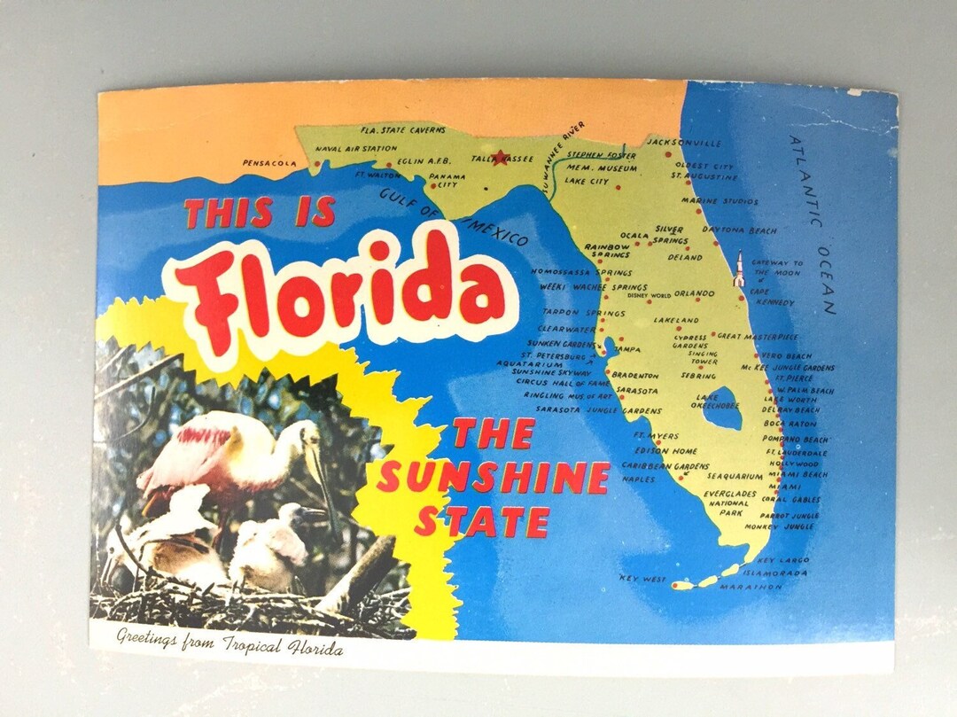 Vintage FL Map Postcard Florida the Sunshine State Greetings From ...
