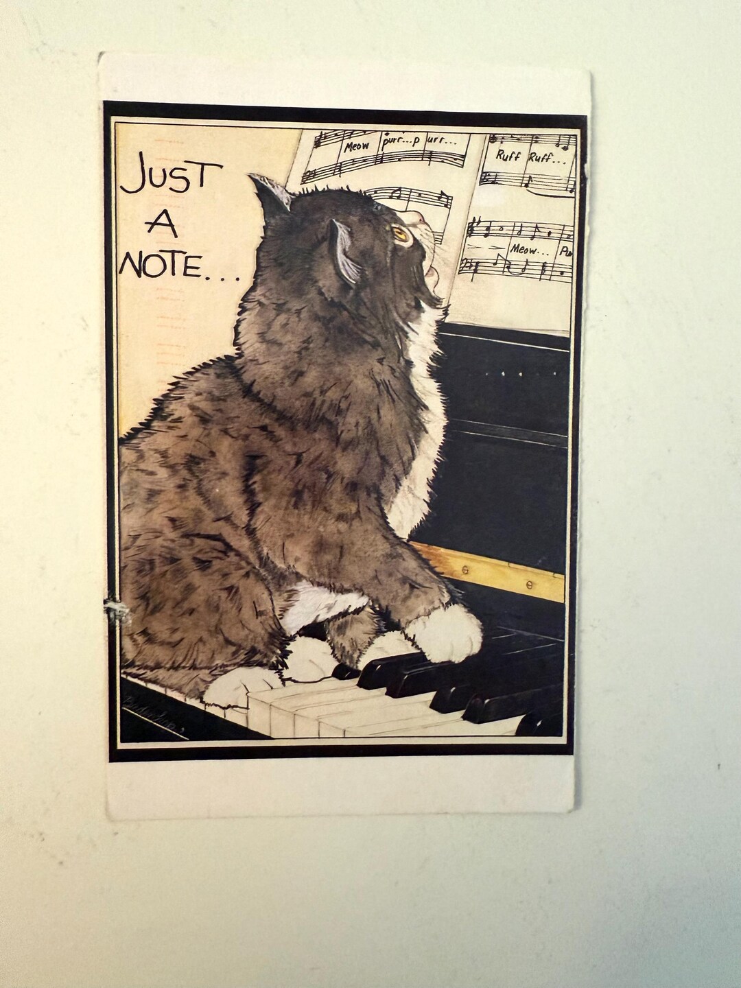 Vintage Postcard Cat Note Card Playing the Piano - Etsy