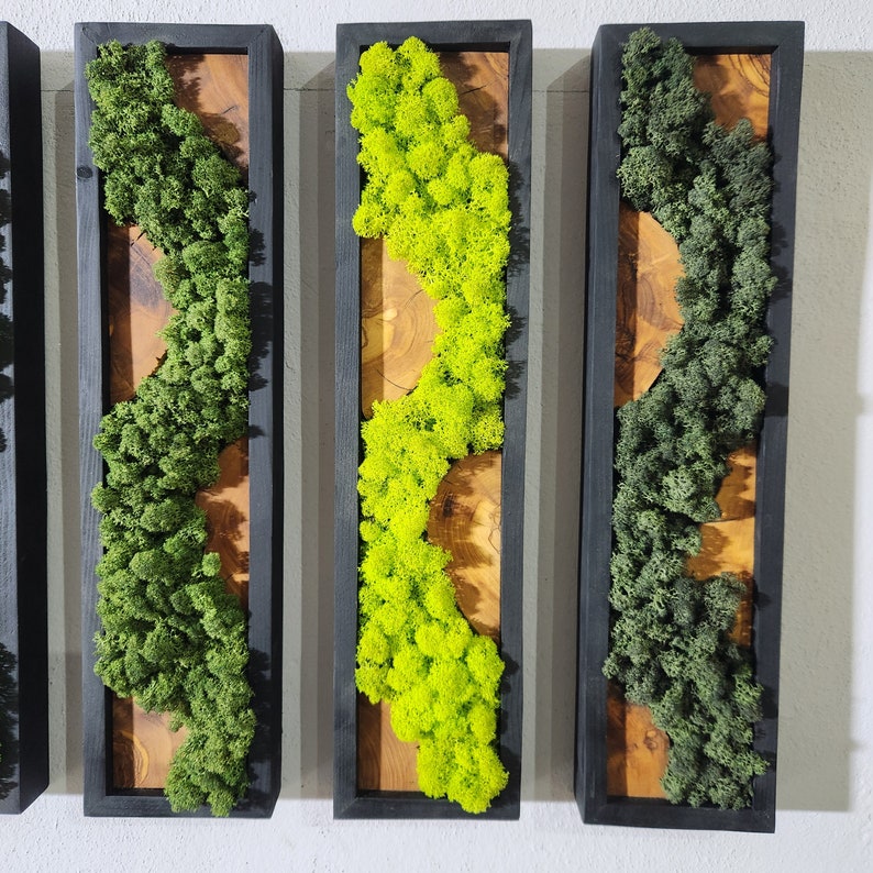 Preserved Moss Wall Art: Olive Wood Panel, Reindeer Moss Decor - Etsy UK
