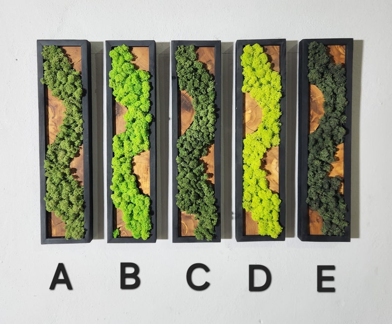 Preserved Moss Wall Art: Olive Wood Panel, Reindeer Moss Decor - Etsy UK