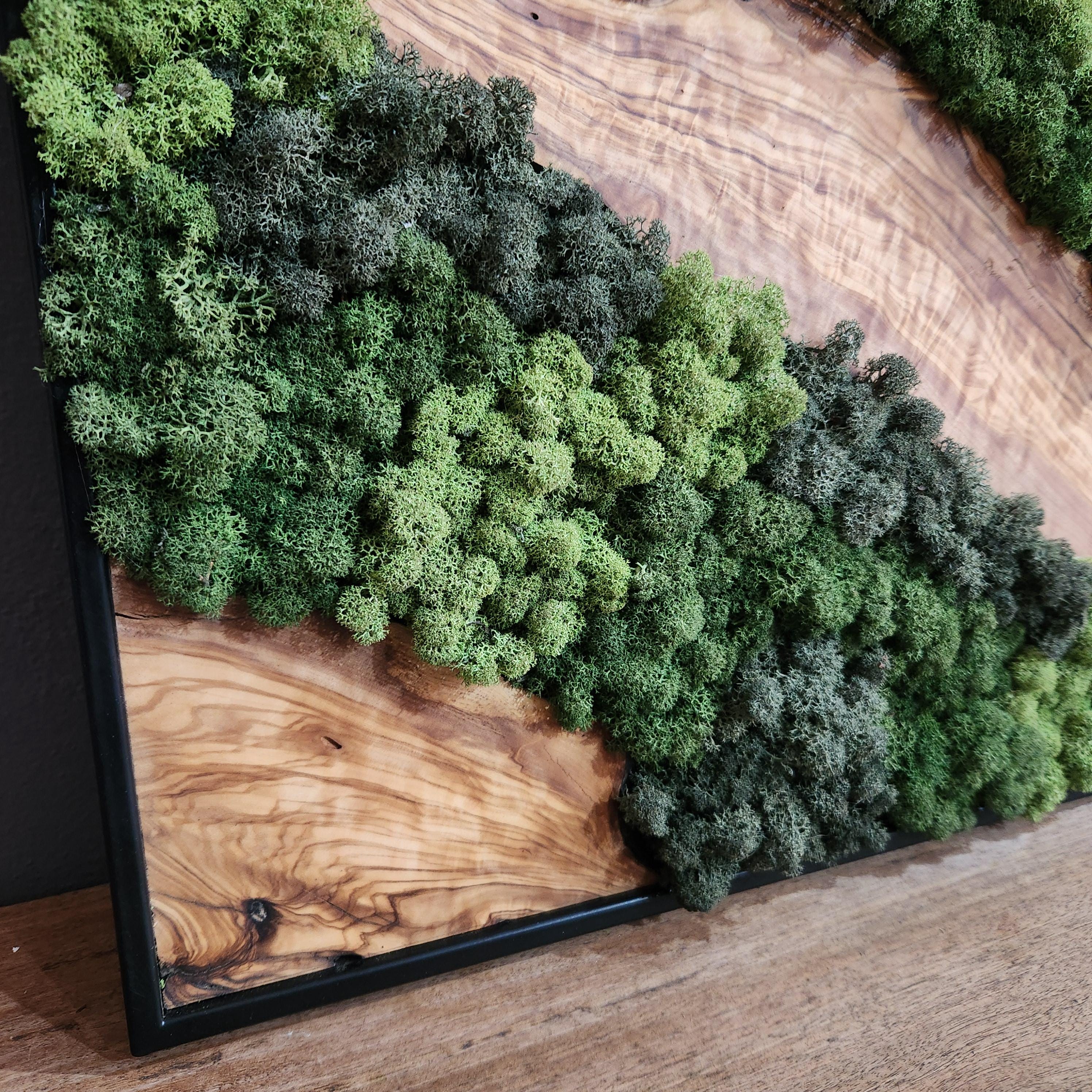 Custom Metal Frame Moss Wall Art: Preserved Moss & Olive Wood Decor - Etsy