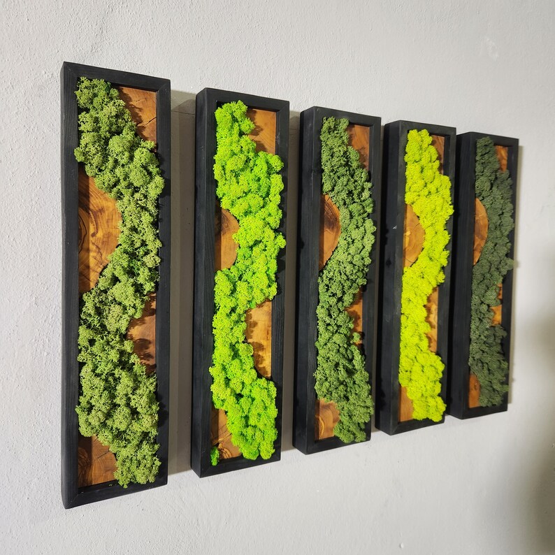 Preserved Moss Wall Art: Olive Wood Panel, Reindeer Moss Decor - Etsy UK