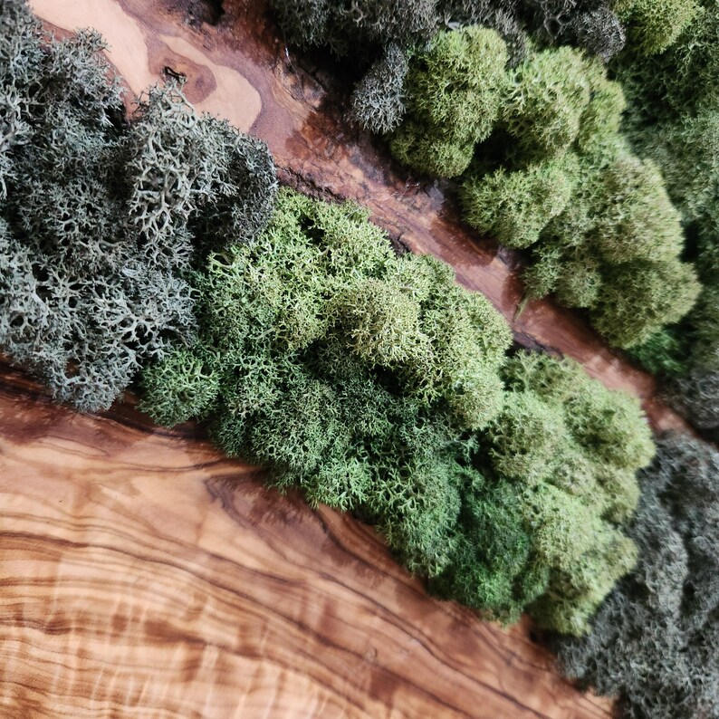 Custom Metal Frame Moss Wall Art: Preserved Moss & Olive Wood Decor - Etsy