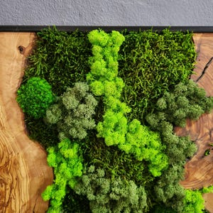 Custom Metal Frame Moss Wall Art: Preserved Moss & Olive Wood Decor - Etsy