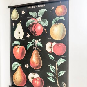 Vintage Apple and Pear Poster Ready-to-hang - Etsy