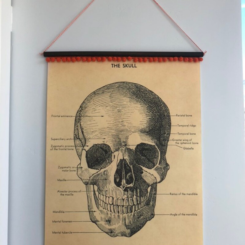 Skull Poster - Etsy