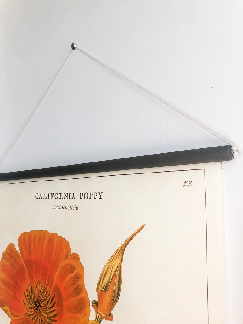 Vintage-style California Poppy Poster Ready-to-hang - Etsy