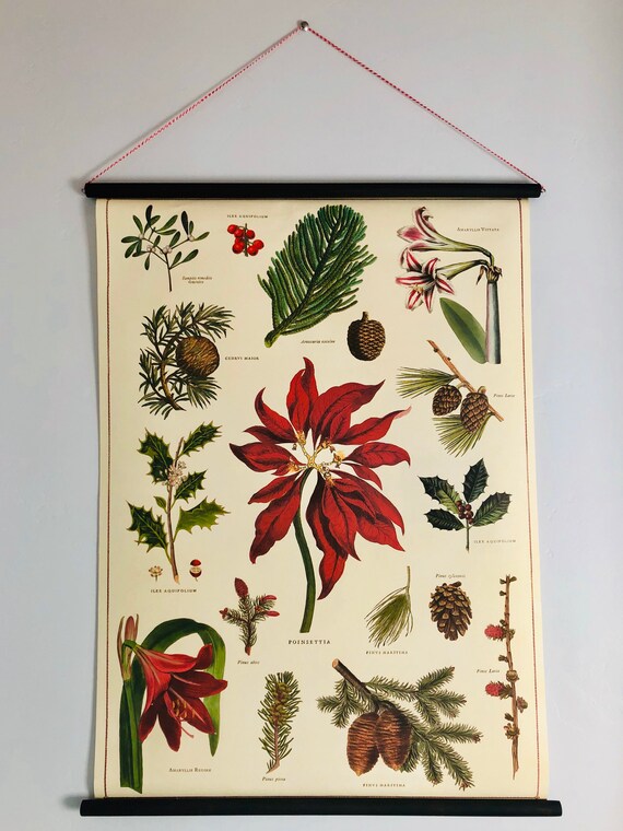 Vintage Style Poinsettia Holly and Christmas Foliage Poster | Etsy