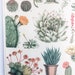 Vintage-style Cacti-succulents Poster Ready to Hang - Etsy