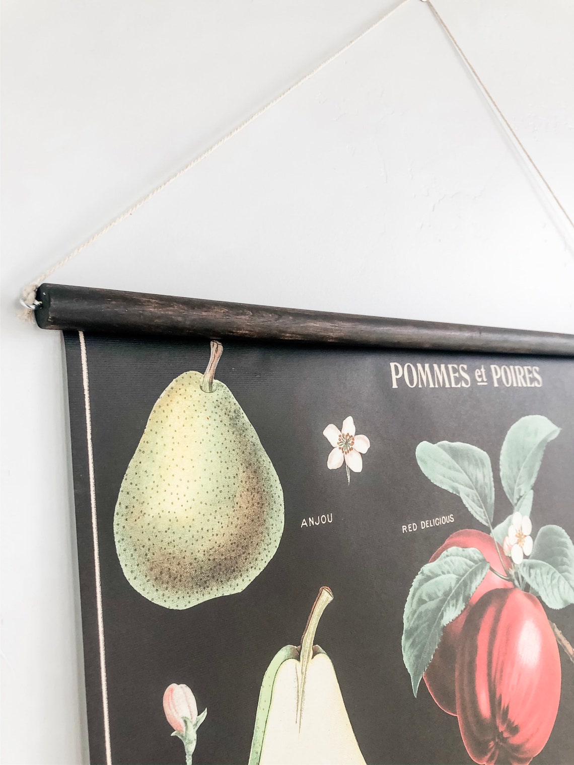 Vintage Apple and Pear Poster Ready-to-hang | Etsy
