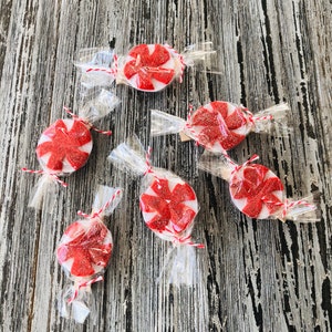 Christmas Peppermint Candy Mini Gift Toppersset of 6 With 6 Gift Tags ...