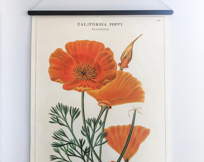 Vintage-style California Poppy Poster Ready-to-hang - Etsy