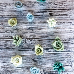 Felt Succulent Magnets - Etsy