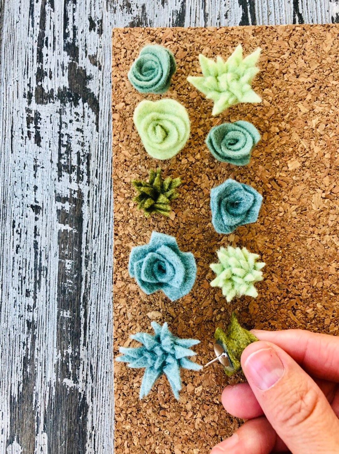 Felt Succulent Push-pins - Etsy