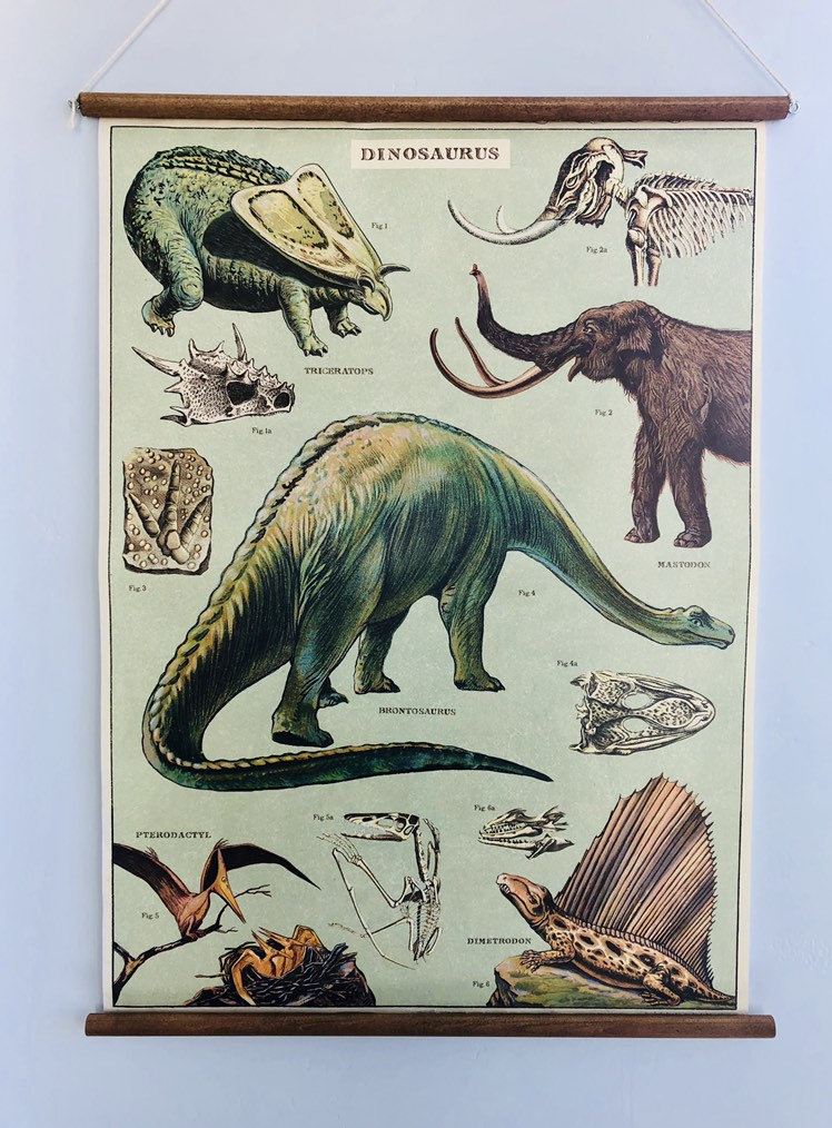 Ready to Hang Vintage Style Dinosaur Poster - Etsy