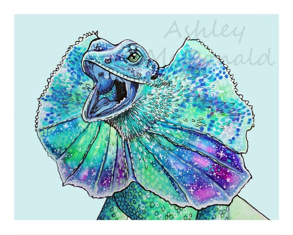 Frilled Neck Lizard Drawing