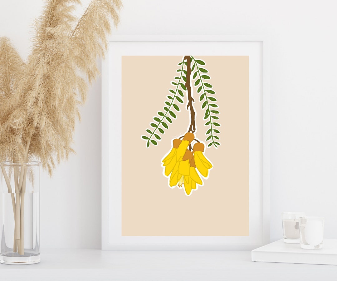 New Zealand Native Kowhai Flower Art Print Aotearoa Nature - Etsy ...