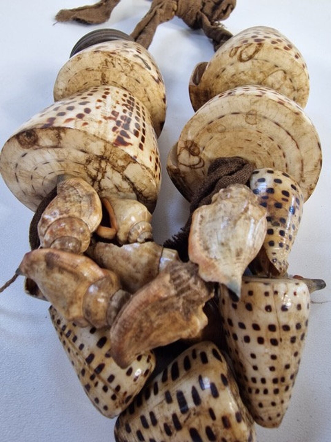 Antique Old SEPIK Region New Guinea CONUS SHELL Money Tribal Necklace ...