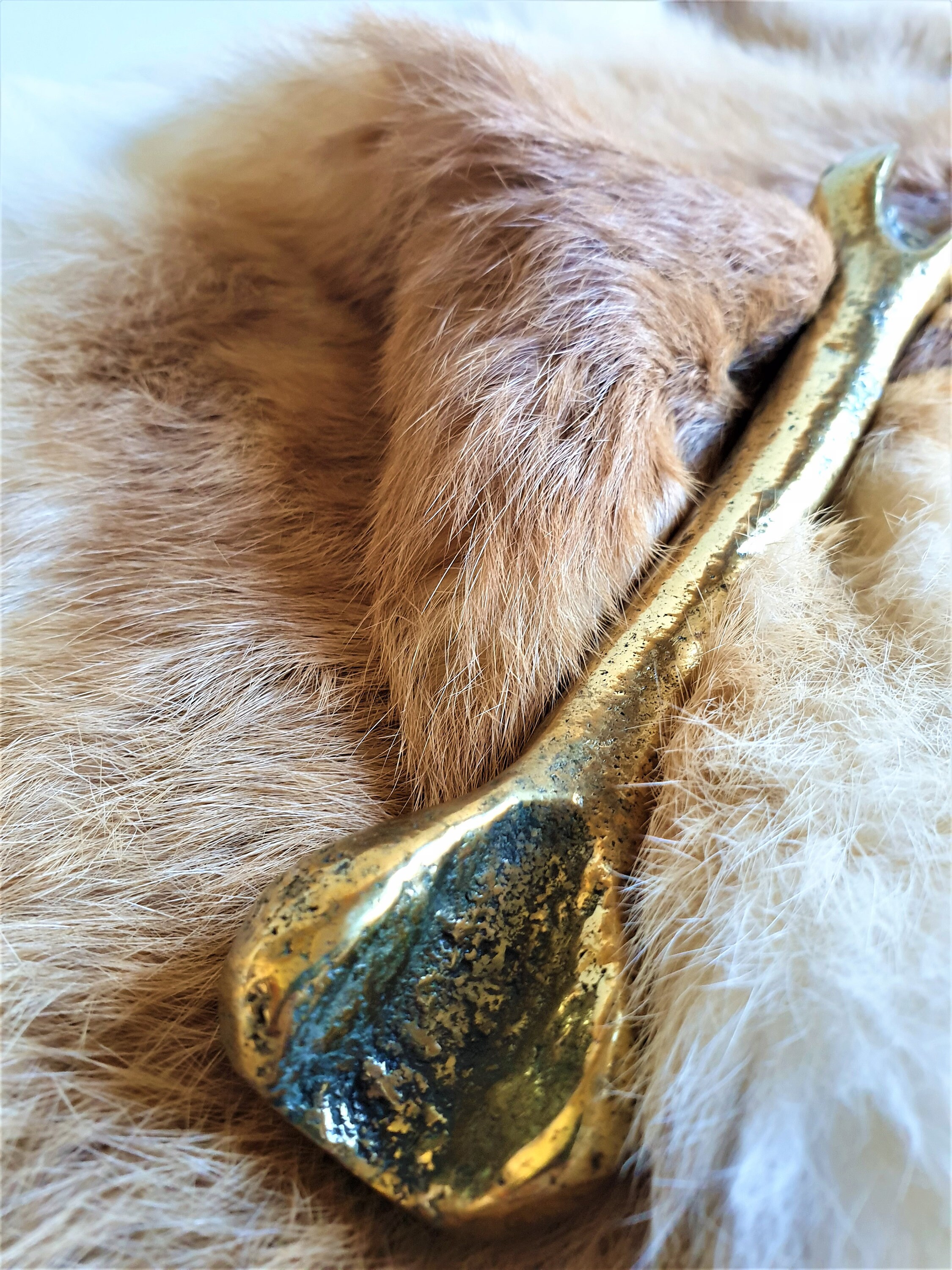 Gold Toned Femur Anatomy and Anatomical- Leg Bone, Bone, Tibia ...