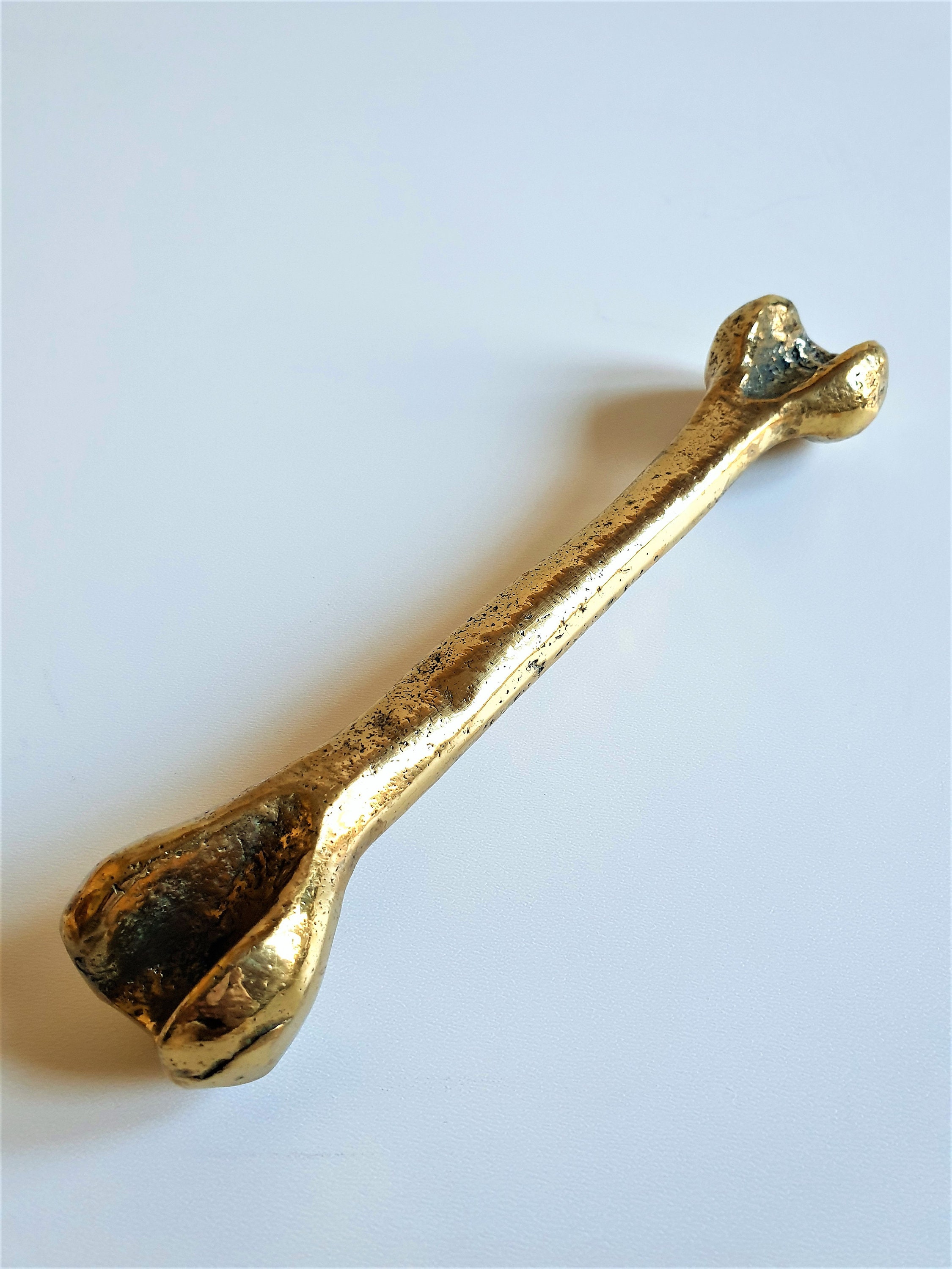 Gold Toned Femur Anatomy and Anatomical- Leg Bone, Bone, Tibia ...