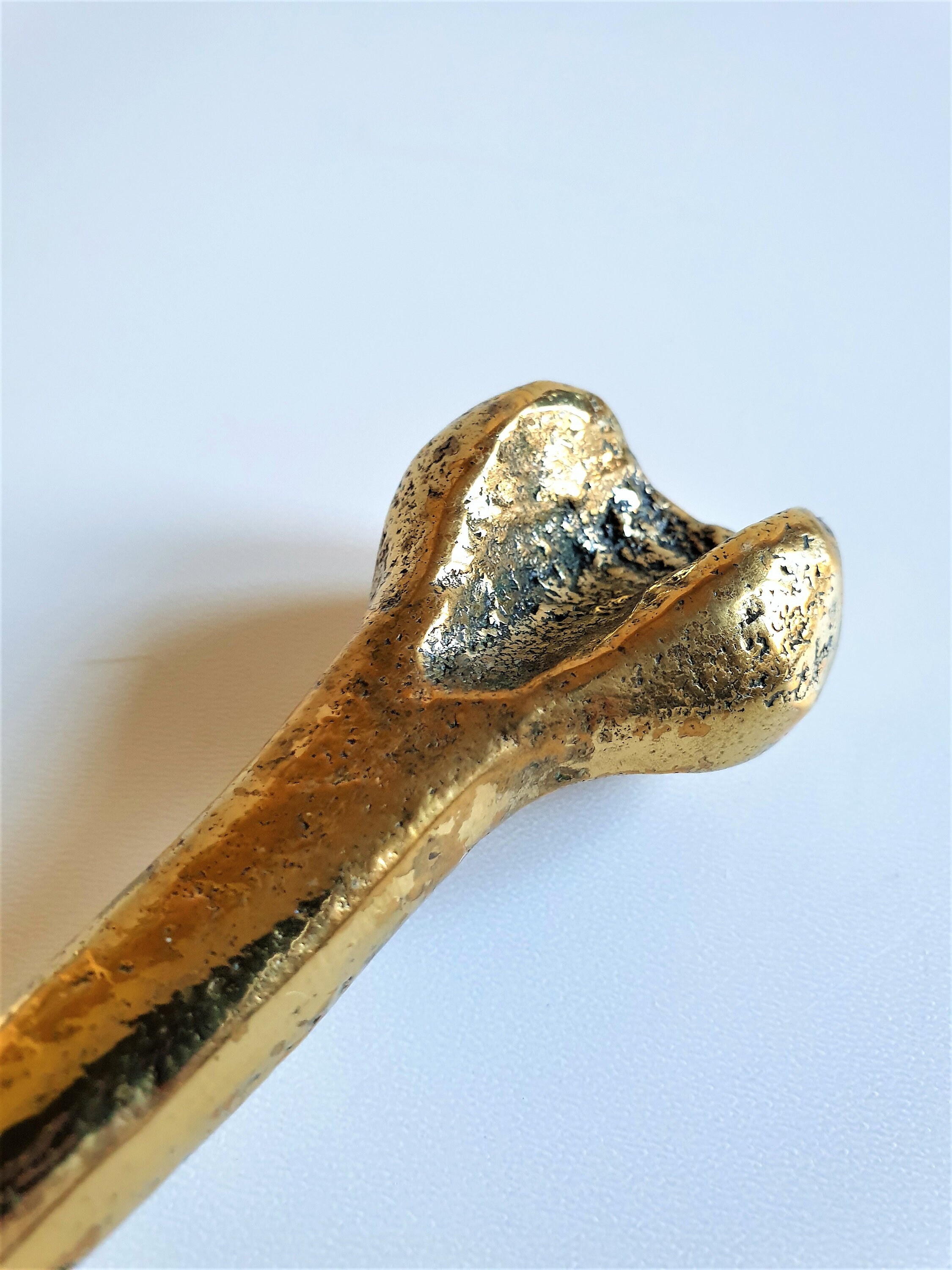 Gold Toned Femur Anatomy and Anatomical- Leg Bone, Bone, Tibia ...