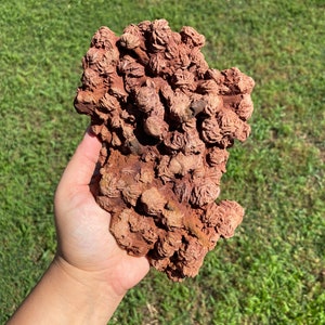 HUGE Barite Rose Rock Cluster Over 3lbs With Hematite - Etsy