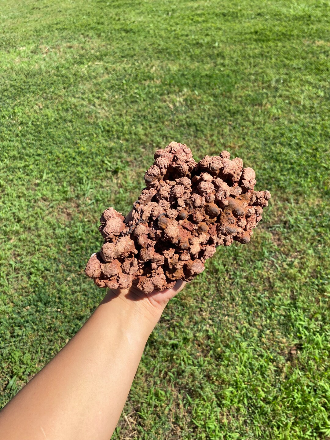 HUGE Barite Rose Rock Cluster Over 3lbs With Hematite - Etsy