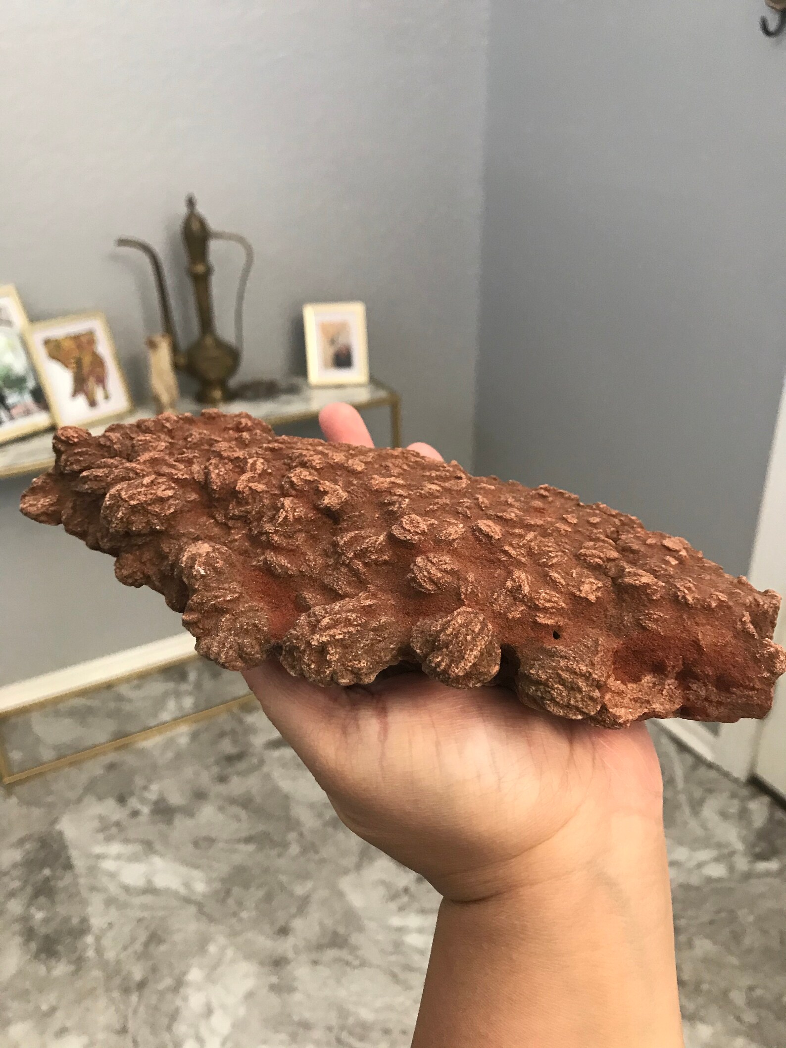 Huge Rose Rock Cluster 2lb 10oz | Etsy
