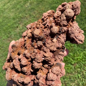 HUGE Barite Rose Rock Cluster Over 3lbs With Hematite - Etsy
