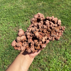 HUGE Barite Rose Rock Cluster Over 3lbs With Hematite - Etsy