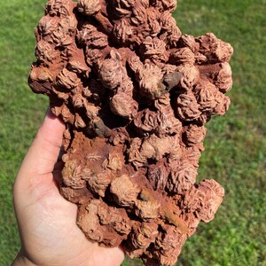HUGE Barite Rose Rock Cluster Over 3lbs With Hematite - Etsy
