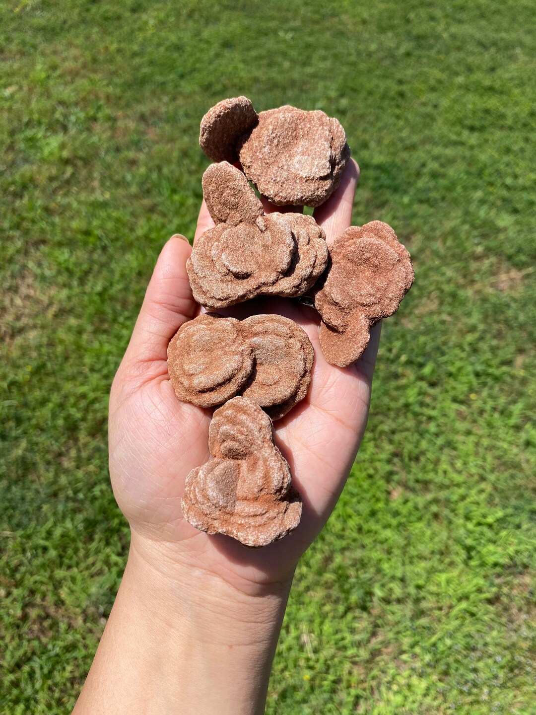 Rose Rock Pairs - Etsy
