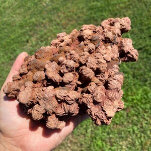HUGE Barite Rose Rock Cluster Over 3lbs With Hematite - Etsy