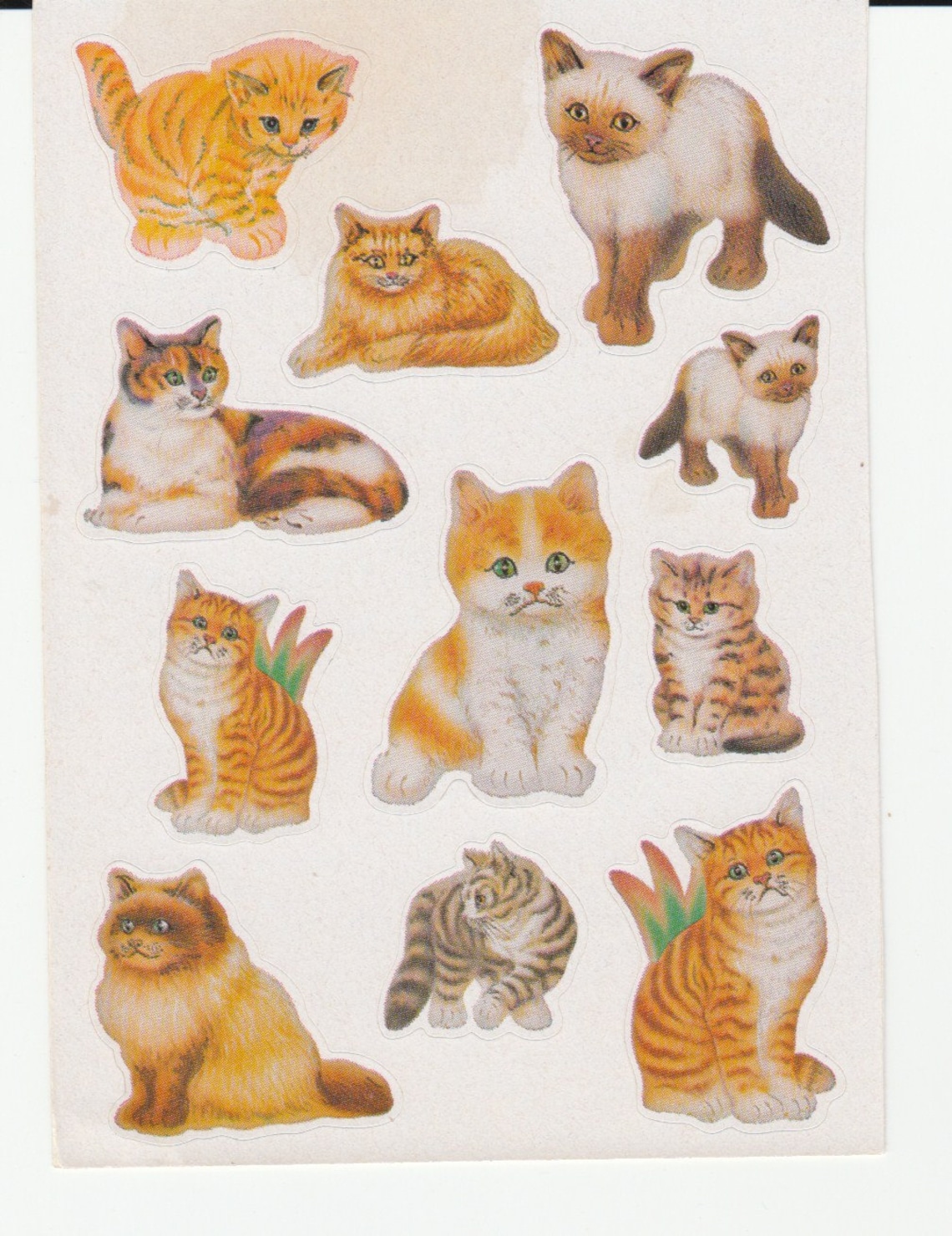 Cute Kitten Cat Stickers Sheet | Etsy