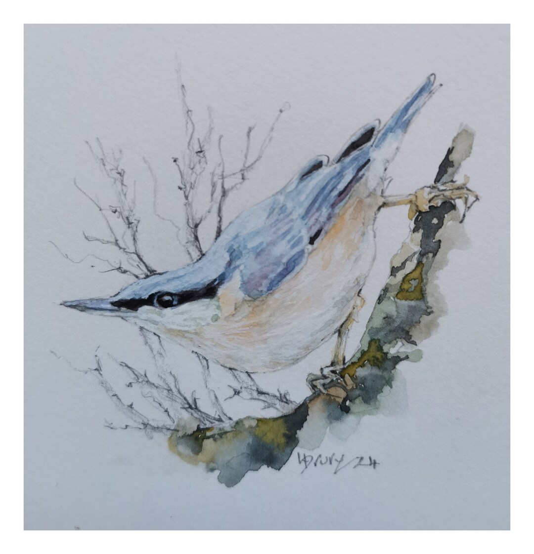 Small Bird Watercolour, Nuthatch, Original Artwork, Nature and Wildlife ...