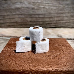 Toilet Paper Earrings,real Toilet Paper,weird Earrings,crazy Earrings ...