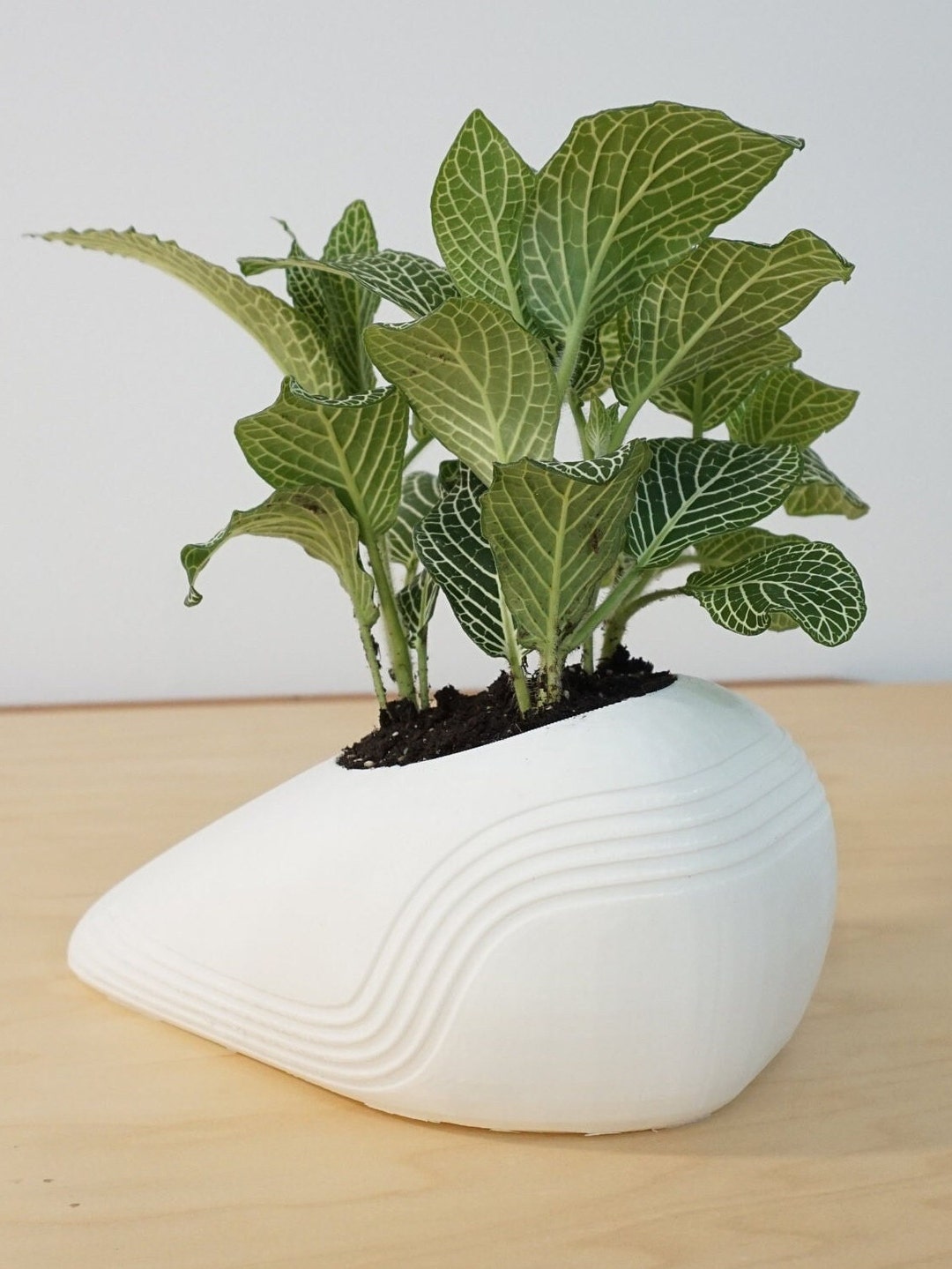 Motorcycle Gas Tank Planter for Desktop Gift for Harley Enthusiast - Etsy