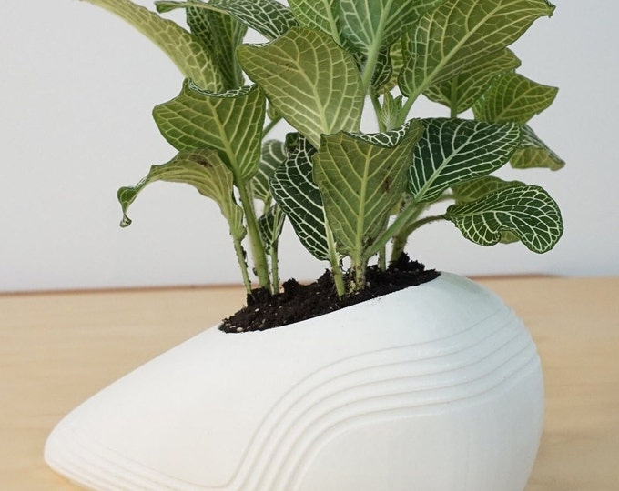 Motorcycle Gas Tank Planter for Desktop Gift for Harley Enthusiast - Etsy