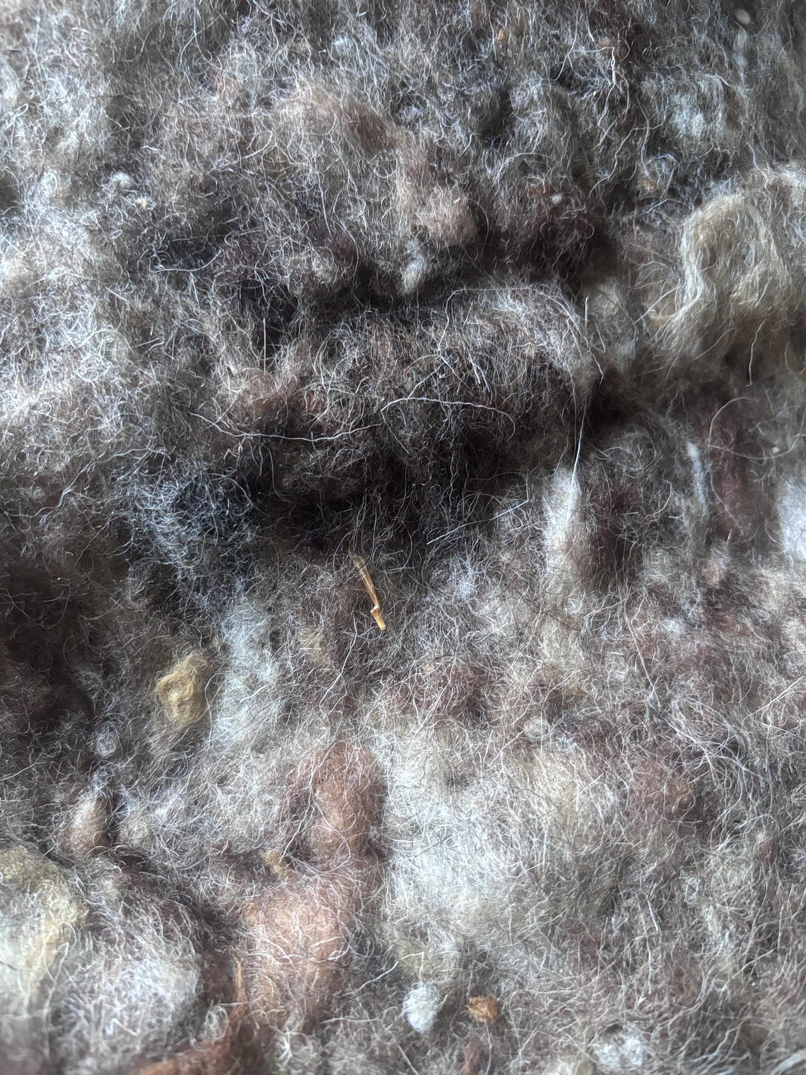 Raw Wool Fibre (200g) - Etsy