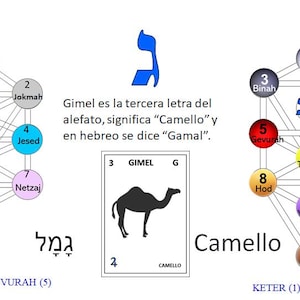 Wheel With the 22 Hebrew Letters: Pictorial Meaning of Each Letter ...