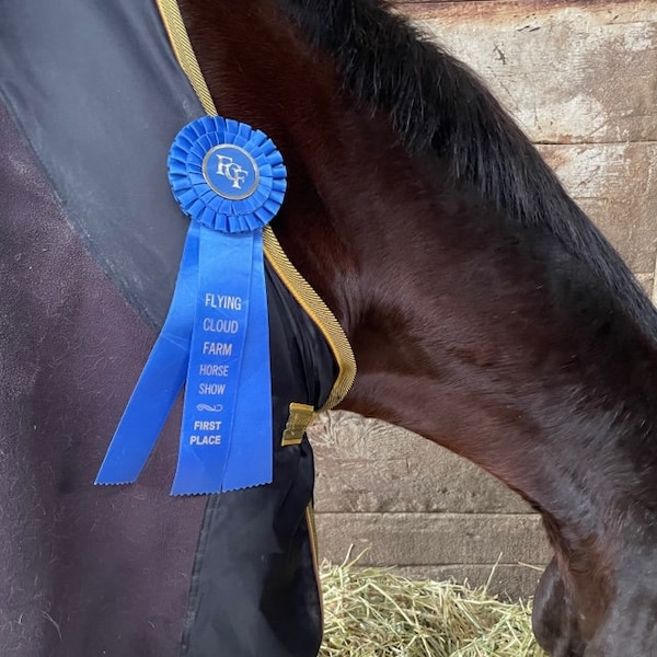 First Place Ribbon - Etsy