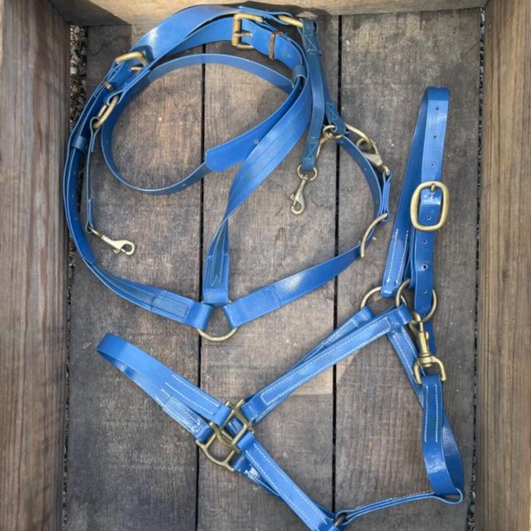 Biothane Horse Tack 3 Piece Lot - Breast Collar, Headstall, Halter - Etsy