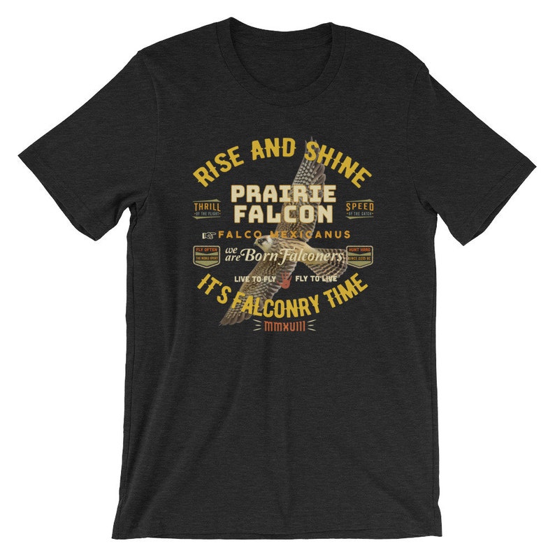Men and Women's Prairie Falcon, Falconers, Falconry Hawking, Hawkers ...